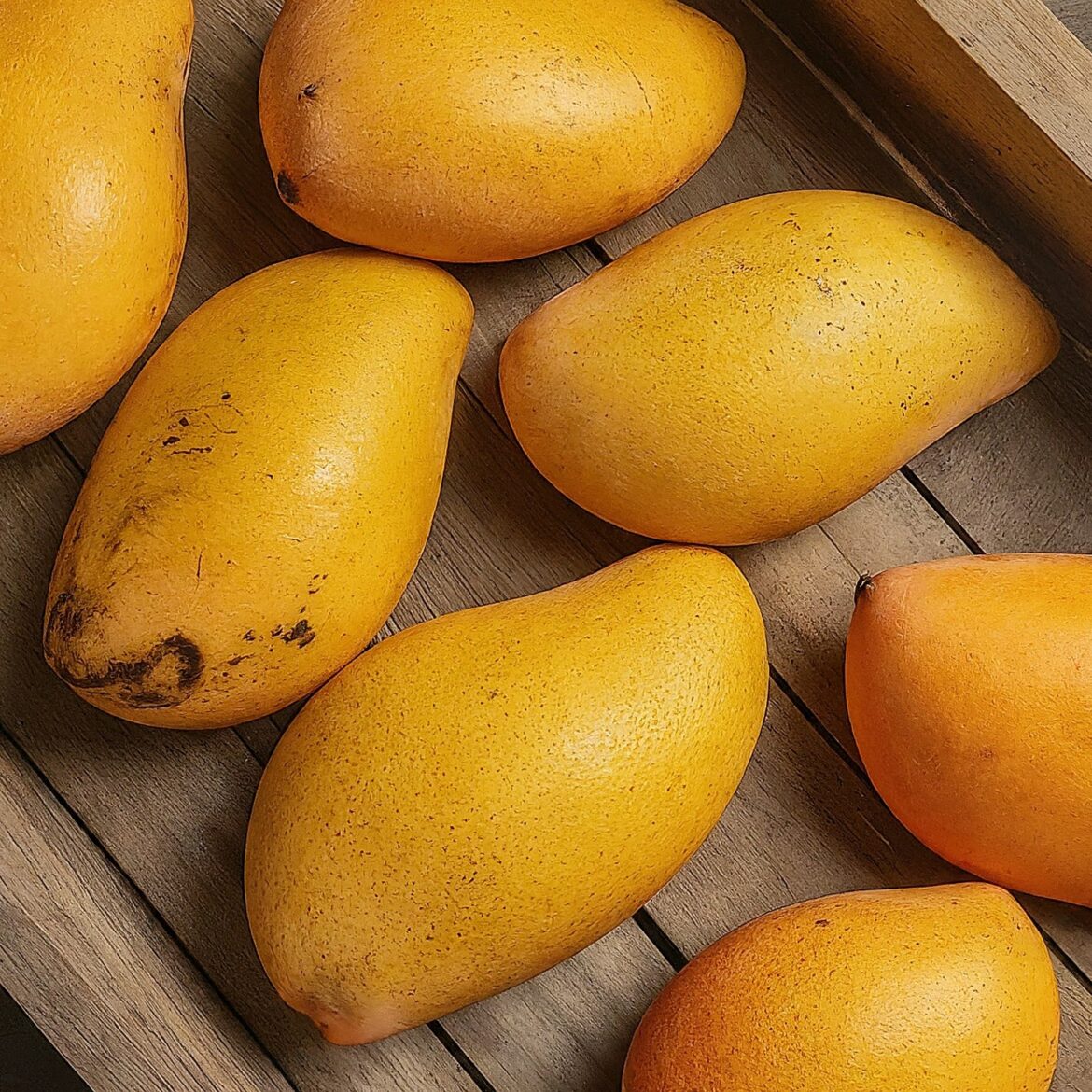 Home - Buy Fresh Indian Mangoes Online